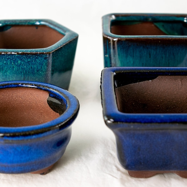 Mini Bonsai Pots - Etsy