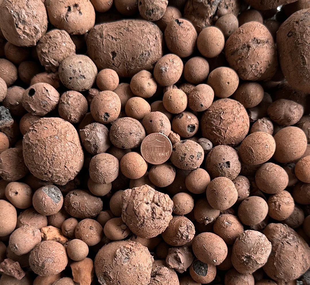 Cali-bon Horticultural Ceramsite Clay Balls, Pebbles Growing Media for ...