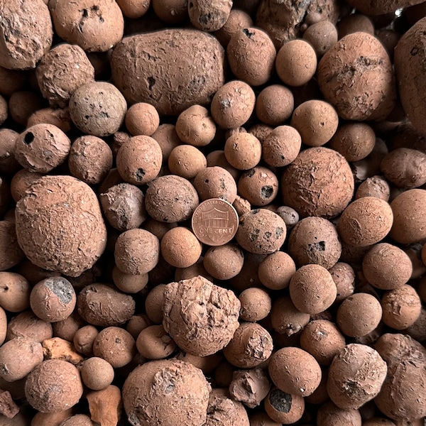 Clay Aquaponic Balls - Etsy