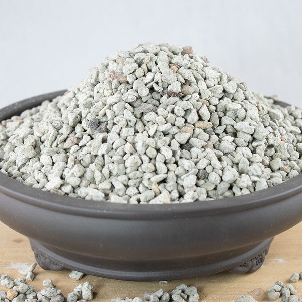 Horticultural Pumice - Etsy