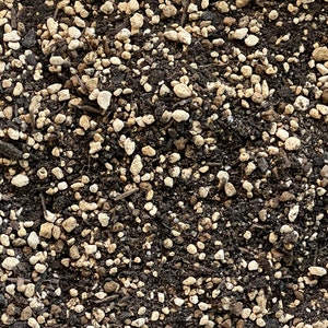 Cali-bon Premium Mixed Acid Loving Plants, Azalea Bonsai Soil With ...