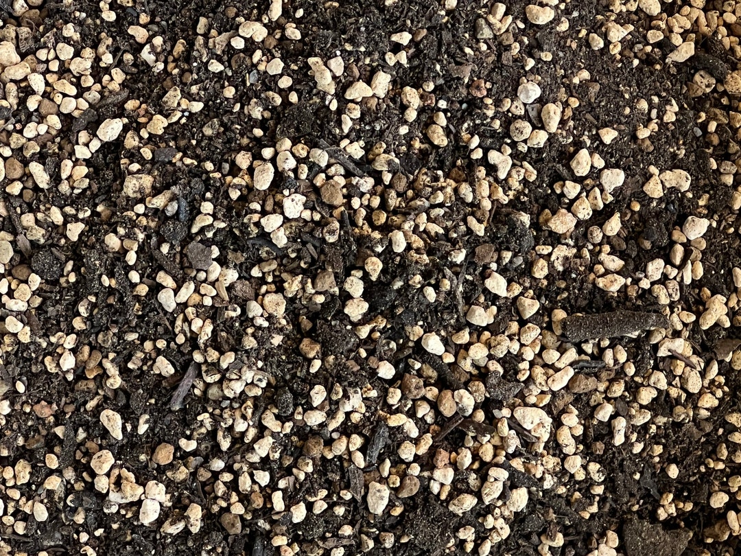 Cali-bon Premium Mixed Acid Loving Plants, Azalea Bonsai Soil With ...