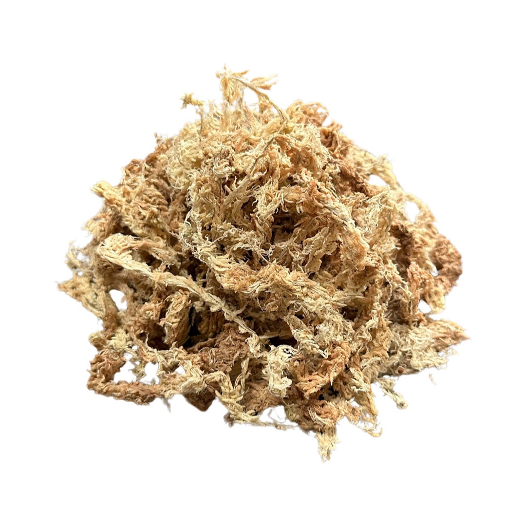 Cali-bon Premium New Zealand Sphagnum Moss for Kokedama, Moss Ball ...
