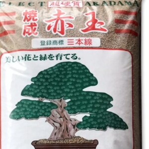Japanese Triple Red Line Super Hard Akadama for Cactus & Succulent ...