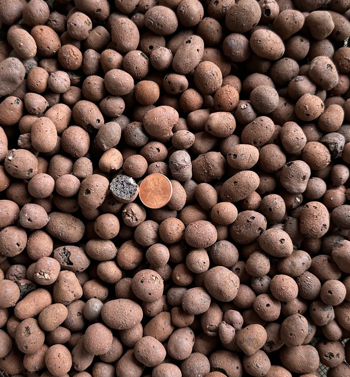Cali-bon Horticultural Ceramsite Clay Balls, Pebbles Growing Media for ...