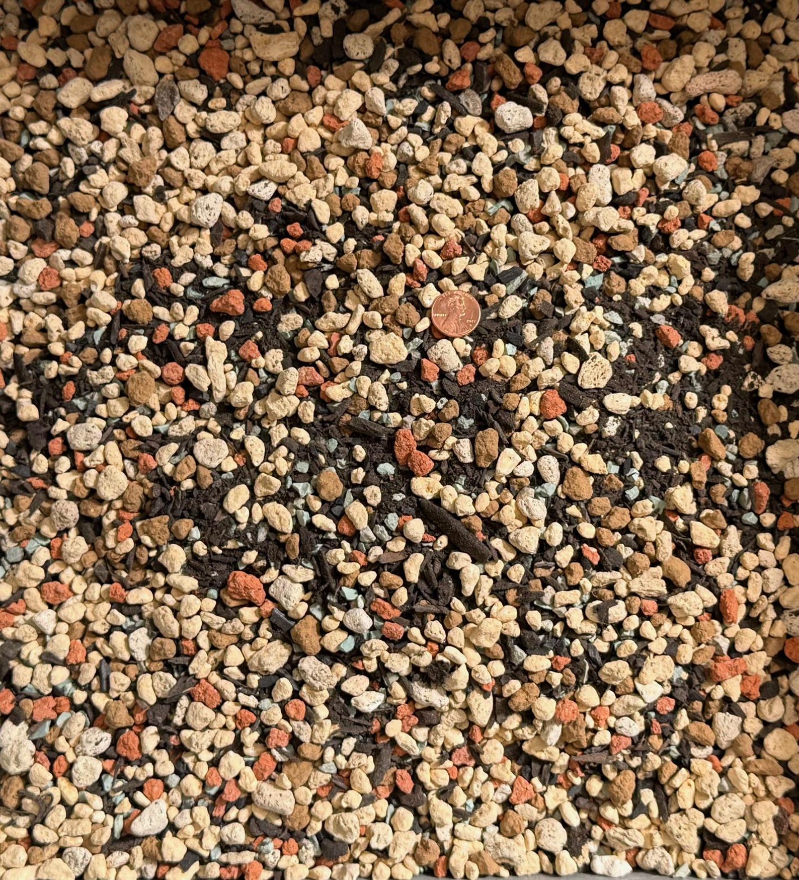 Cali-bon Premium Mixed Aroid Soil With Japanese Kanuma, Ezo Sand ...