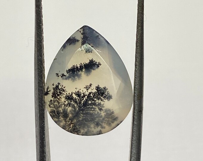 Fabulous Rare Dendritic Quartz Agate Plant Pattern Pear Shape Cut Stone ...