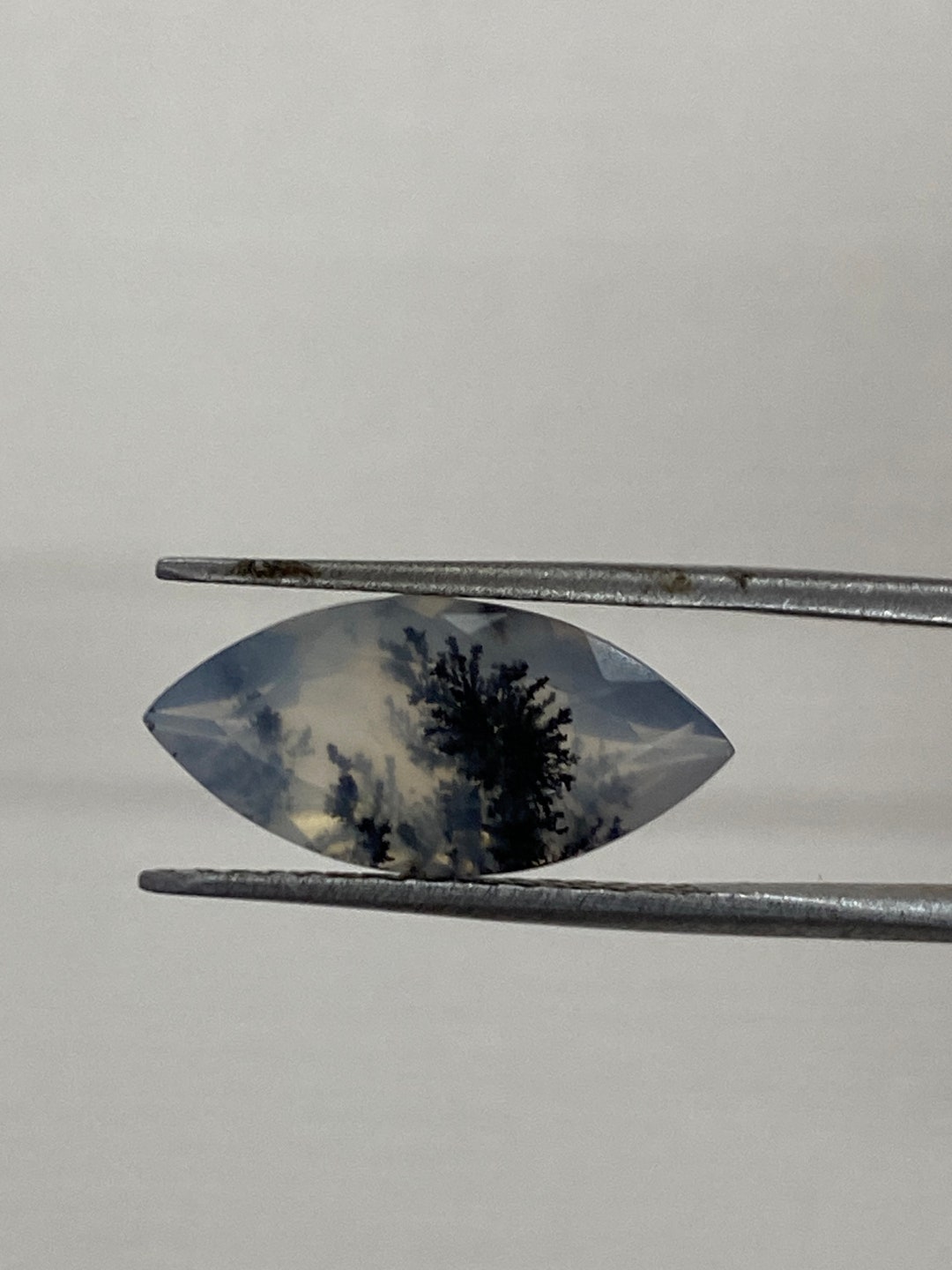 Mesmerising Rare Dendritic Quartz Agate Plant Pattern Marquise Shape ...