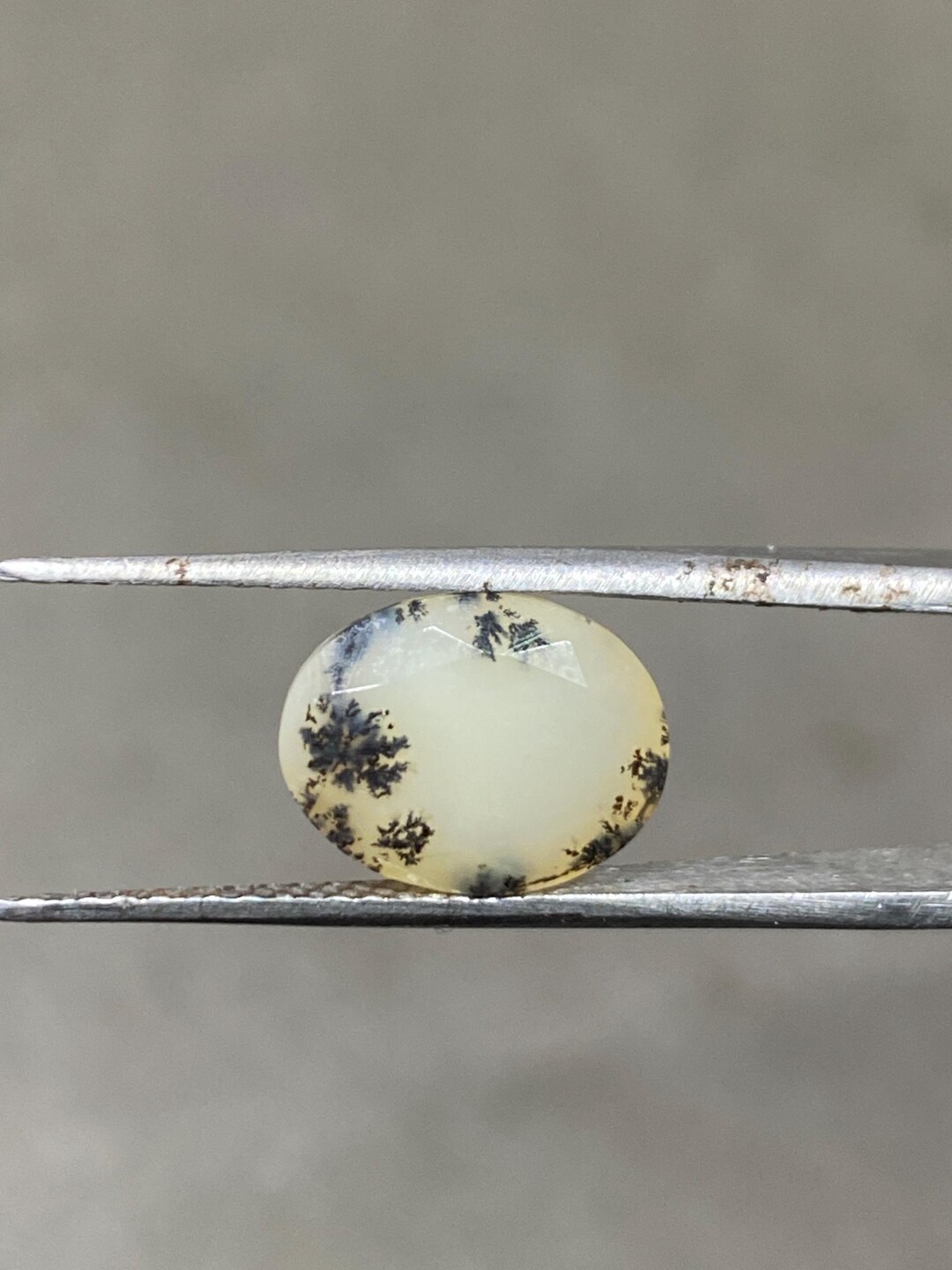 Fascinating Rare Dendritic Quartz Agate Plant Pattern Oval Shape Cut ...