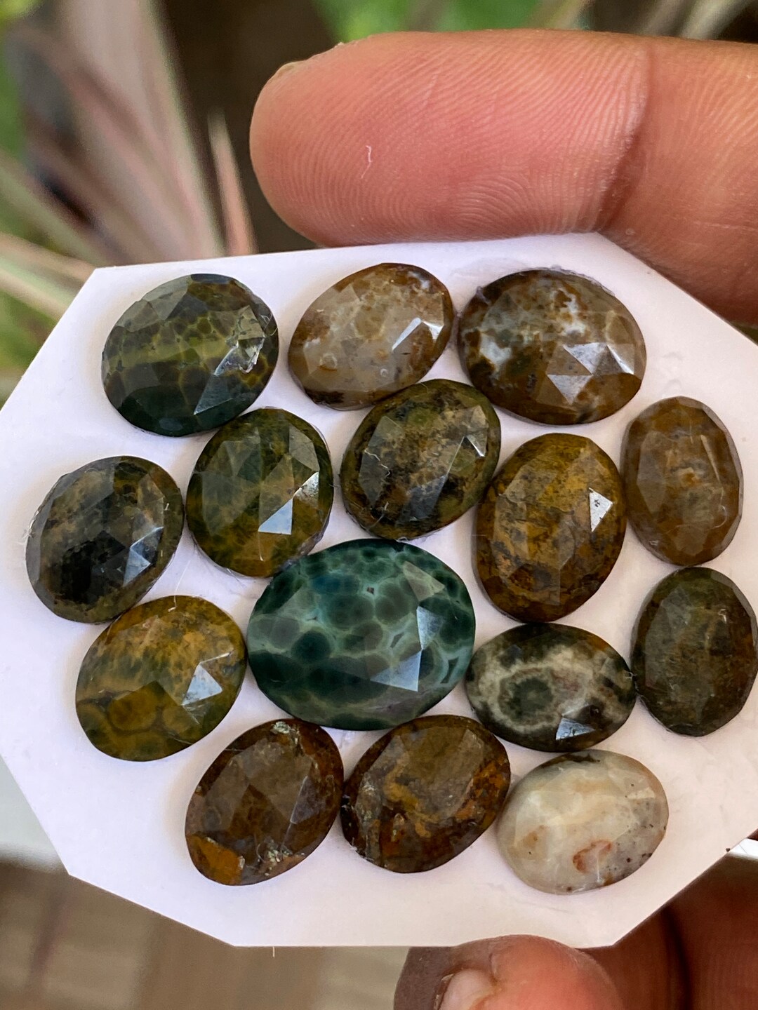 Fabulous Fancy Ocean Jasper Rosecut Pear Shape Fine Quality Pcs 17 Wt ...
