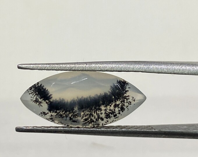 Dazzling Rare Dendritic Quartz Agate Plant Pattern Marquise Shape Cut ...