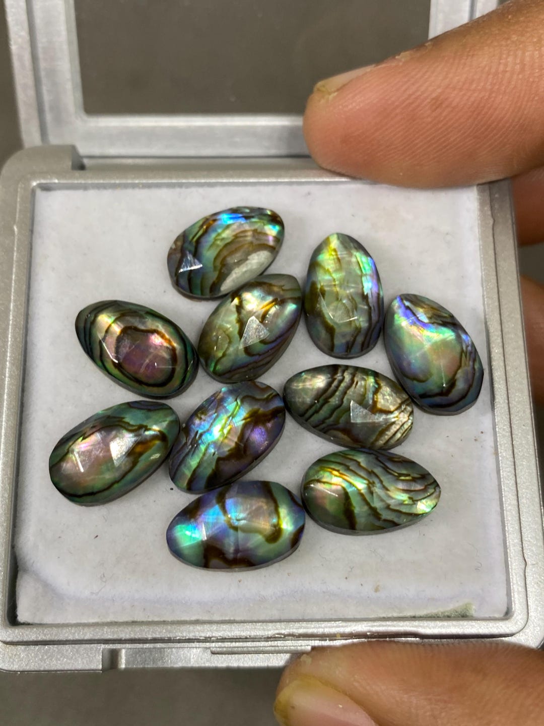 Rare Multi Fire Abalone Shell Crystal Egg Rosecut Cabochon Pcs 10 Size ...