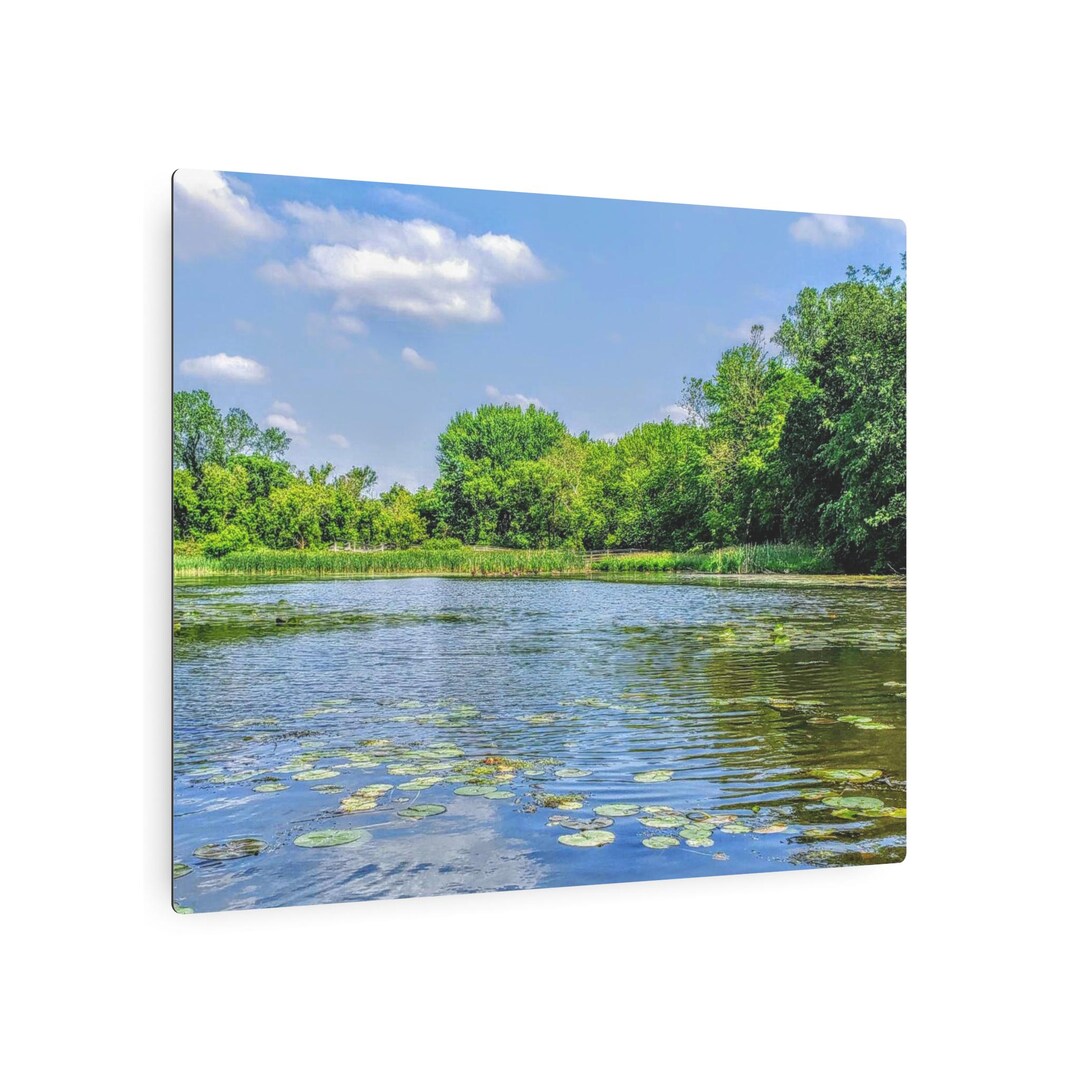 Lily Pad Pond Landscape Metal Art Sign | Nature Lake Wall Decor - Etsy
