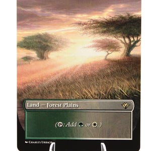 10er Proxy Set Dual Lands Borderless MTG - Etsy.de