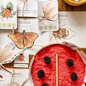 Montessori Morning Basket Mini Beasts Unit Study Nature Study Bees Ants ...