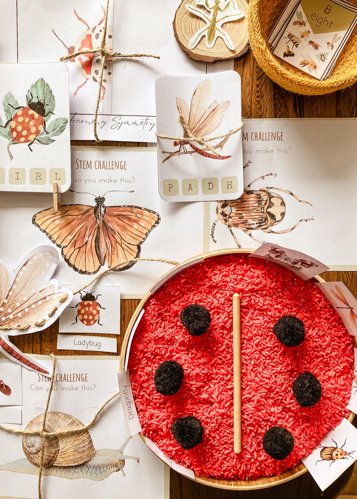 Montessori Morning Basket Mini Beasts Unit Study Nature Study Bees Ants ...