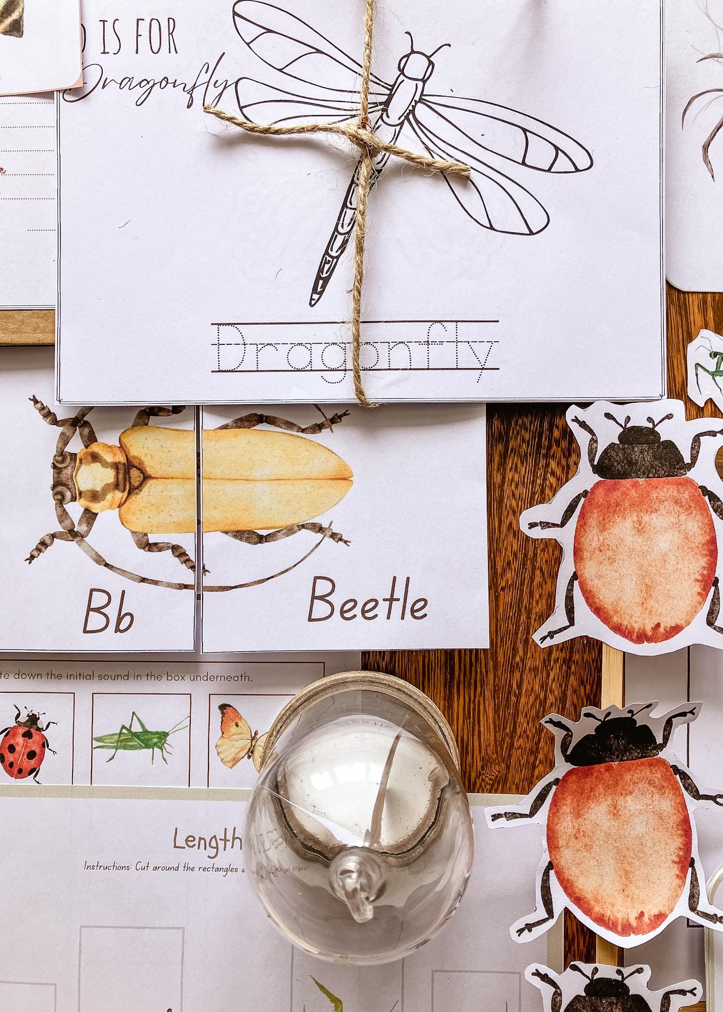 Montessori Morning Basket Mini Beasts Unit Study Nature Study Bees Ants ...