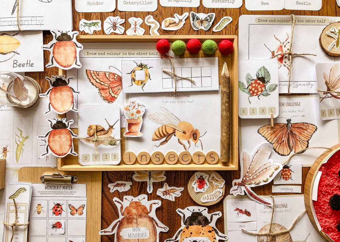 Montessori Morning Basket Mini Beasts Unit Study Nature Study Bees Ants ...