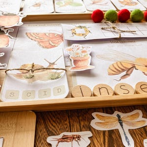 Montessori Morning Basket Mini Beasts Unit Study Nature Study Bees Ants ...