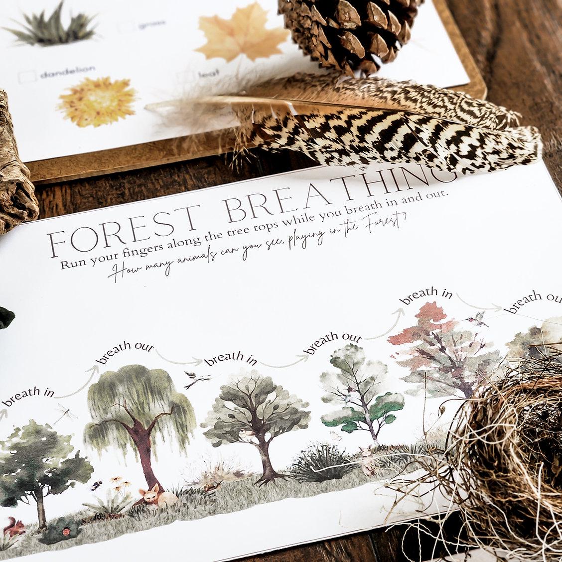 Mindfulness Pack for Kids – Forest Breathing Mat, Animal Tracing ...