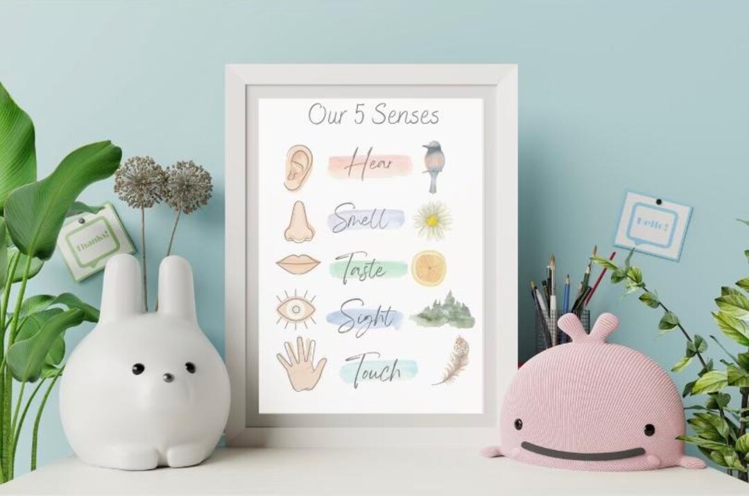 5 Senses Poster A4 Size Poster, Homeschooling, Room Decor, Playroom ...