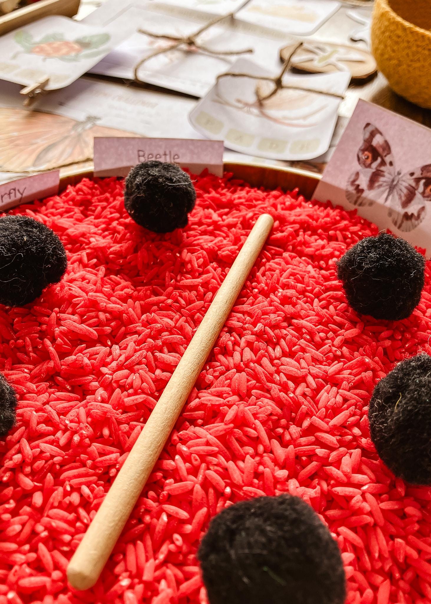 Montessori Morning Basket Mini Beasts Unit Study Nature Study Bees Ants ...