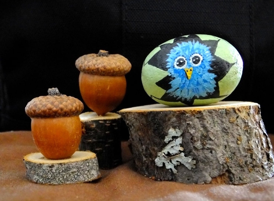 BABY BLUE BIRD Painted Rock Art Hatching Bird Chick Egg | Etsy