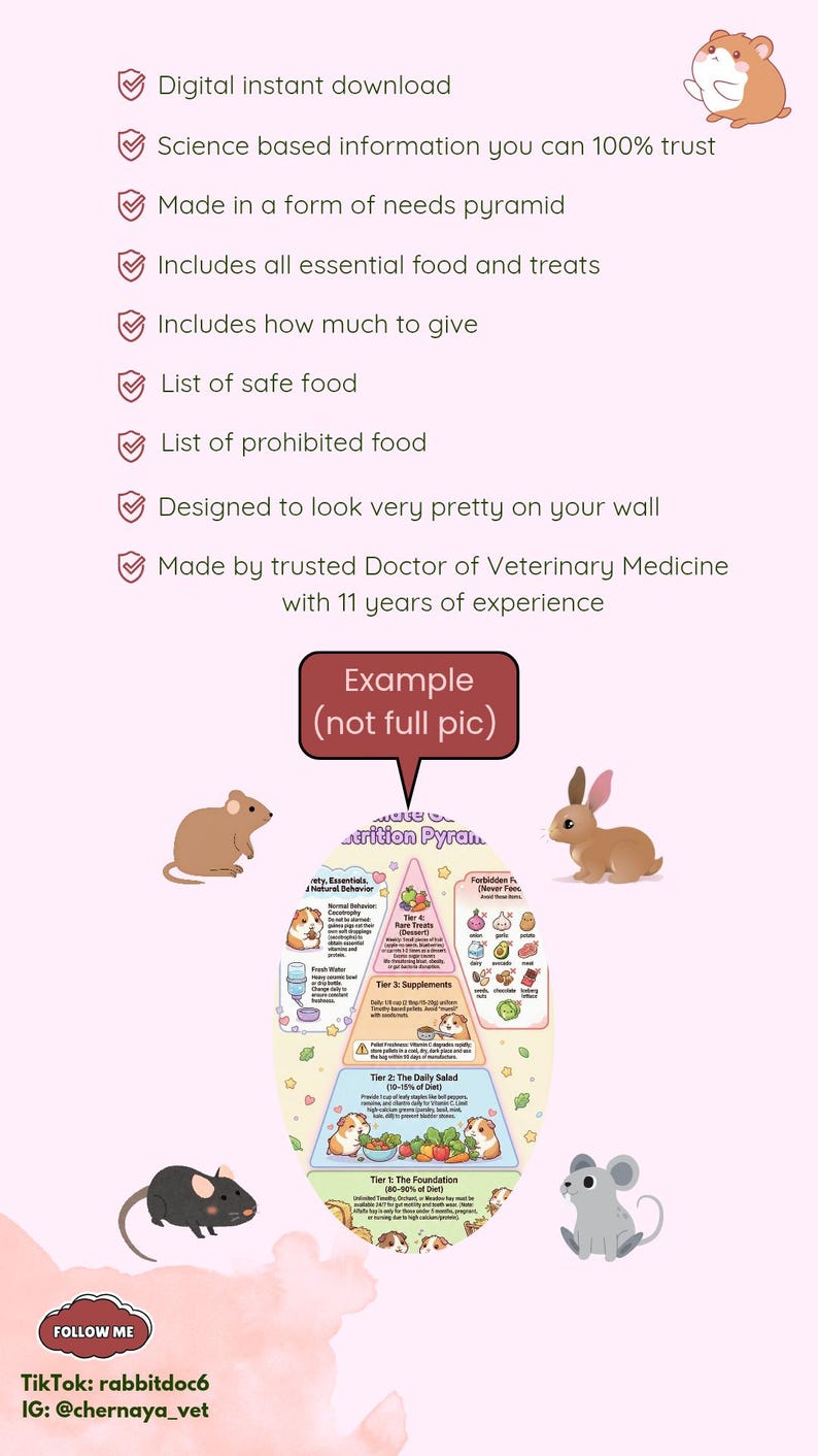 CHINCHILLA Nutrition Guide Made by a DOCTOR of Veterinary Medicine W ...