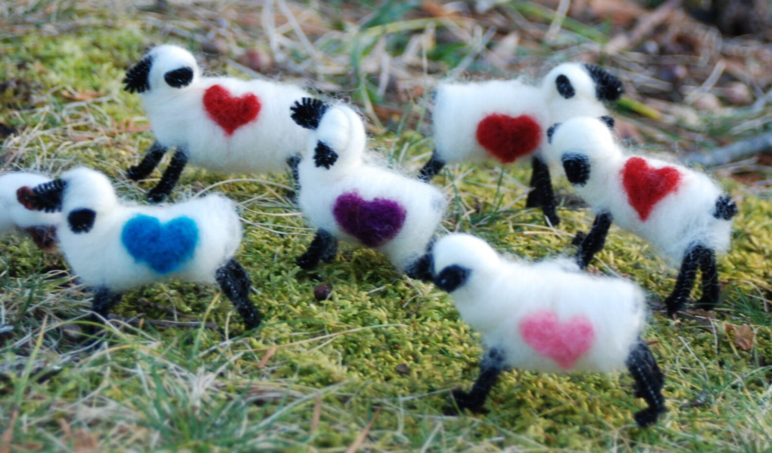 Felted Sheep Love Ewe Love You Lamb Heart Set Of 6 Gift Set | Etsy