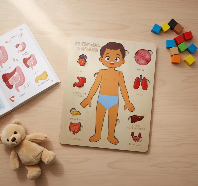 Montessori Human Body Puzzle, Wooden Anatomy Toy for Kids, My Body ...