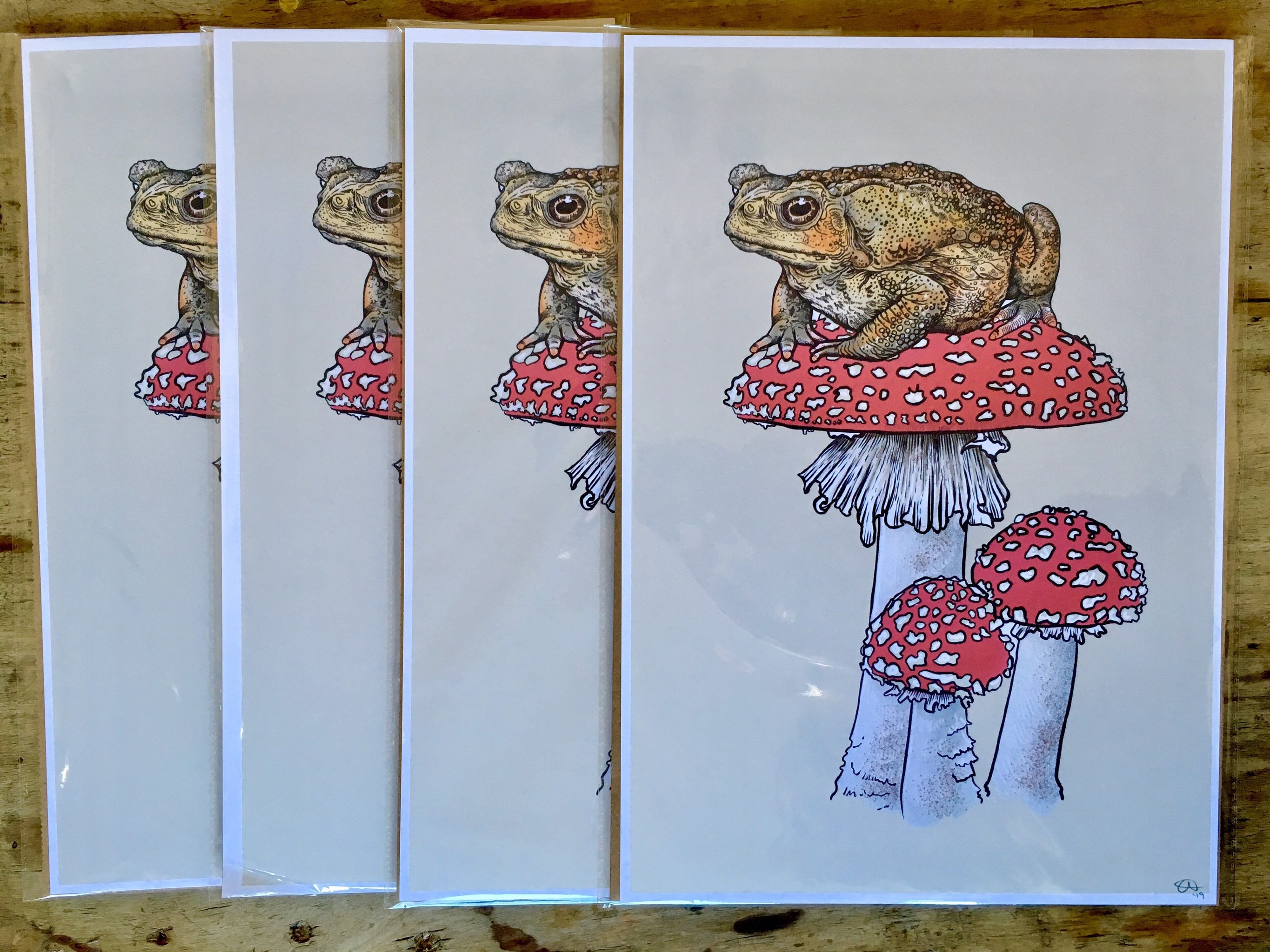 Toadstool Frog and Mushroom Fine Art Illustration Print A4 - Etsy Sweden