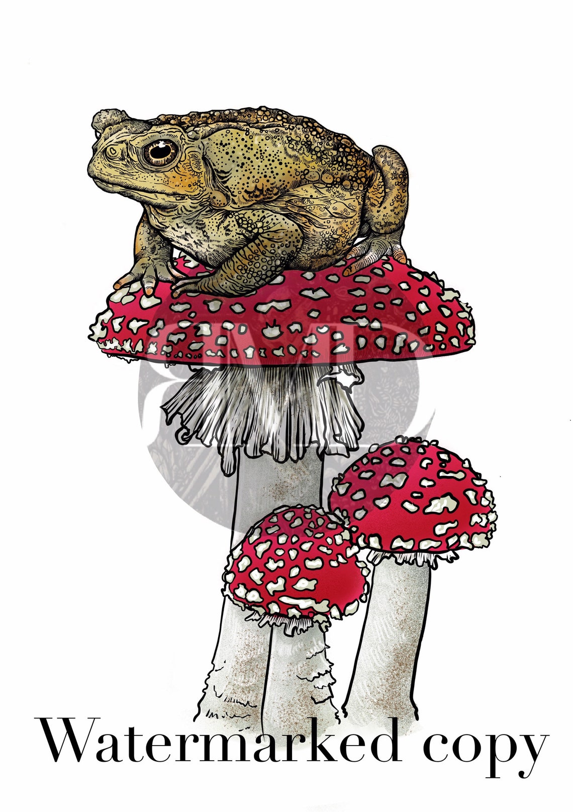Toadstool Frog and Mushroom Fine Art Illustration Print A4 - Etsy UK