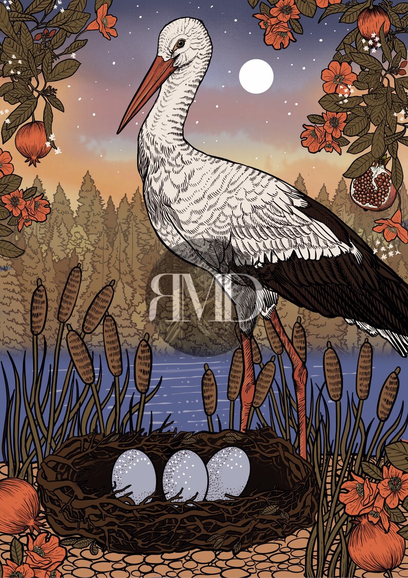 Stork Nest Lenormand Oracle Tarot Card Illustration Fine Art - Etsy