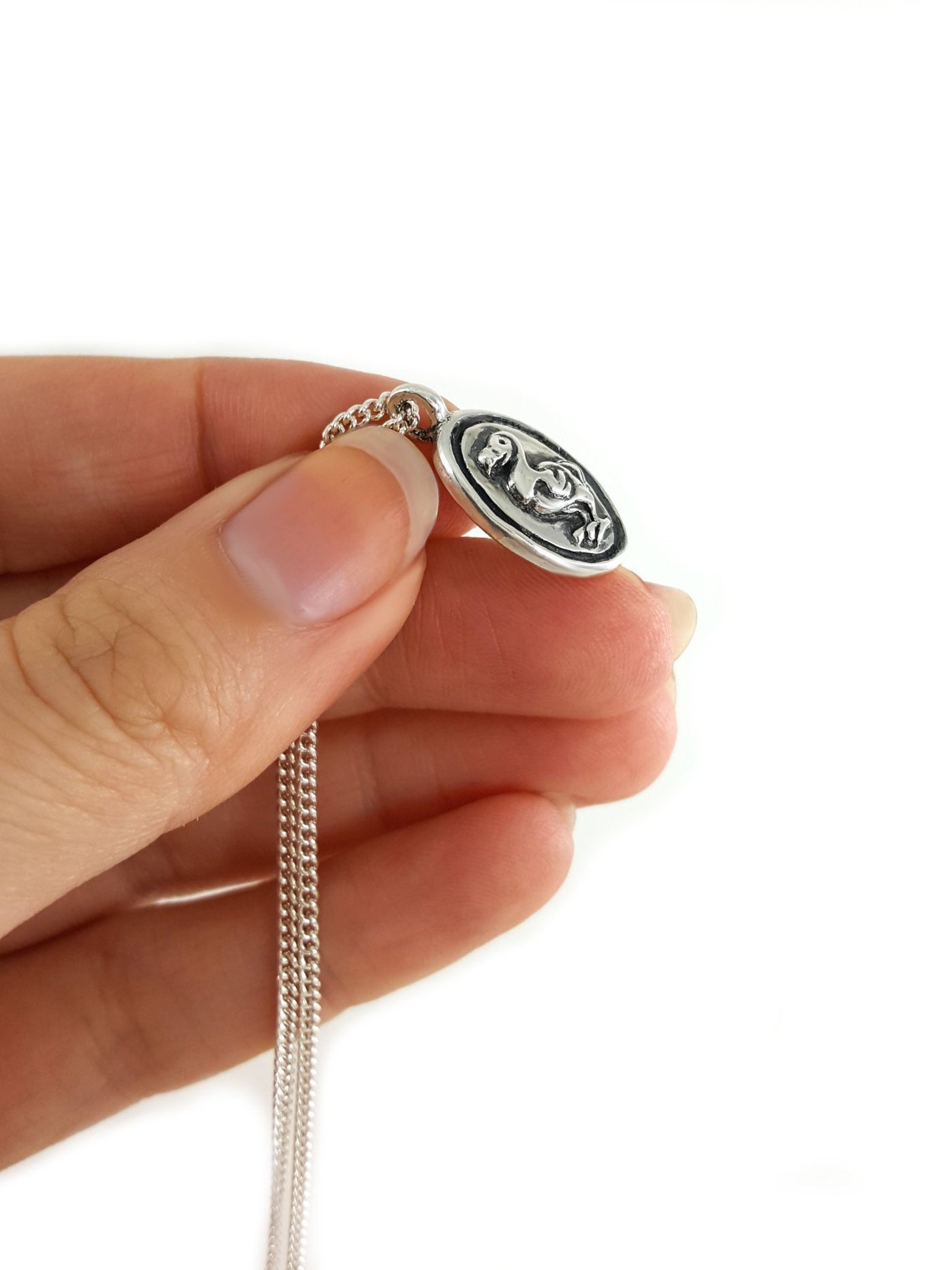 Dodo Bird Necklace in Sterling Silver, Silver Dodo Necklace, Dodo Bird ...