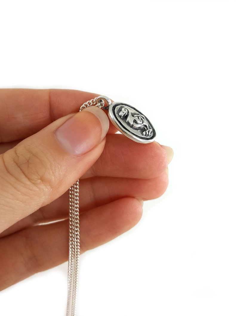 Dodo Bird Necklace in Sterling Silver, Silver Dodo Necklace, Dodo Bird ...