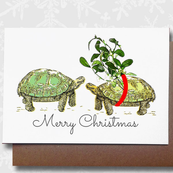 Tortoise Gifts - 60+ Gift Ideas for 2023