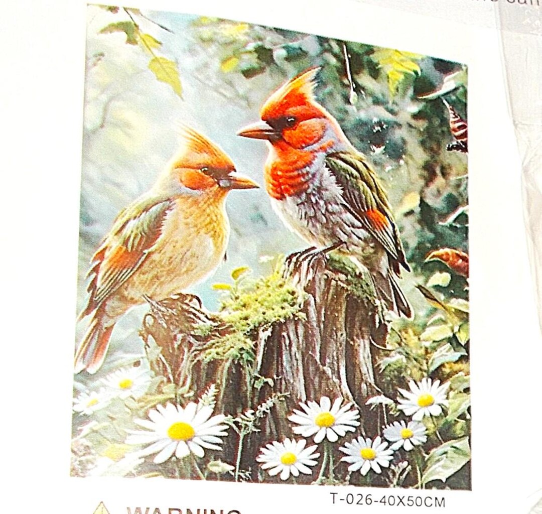 Pileated Woodpeckers Paint-by-number With Daisies - Etsy