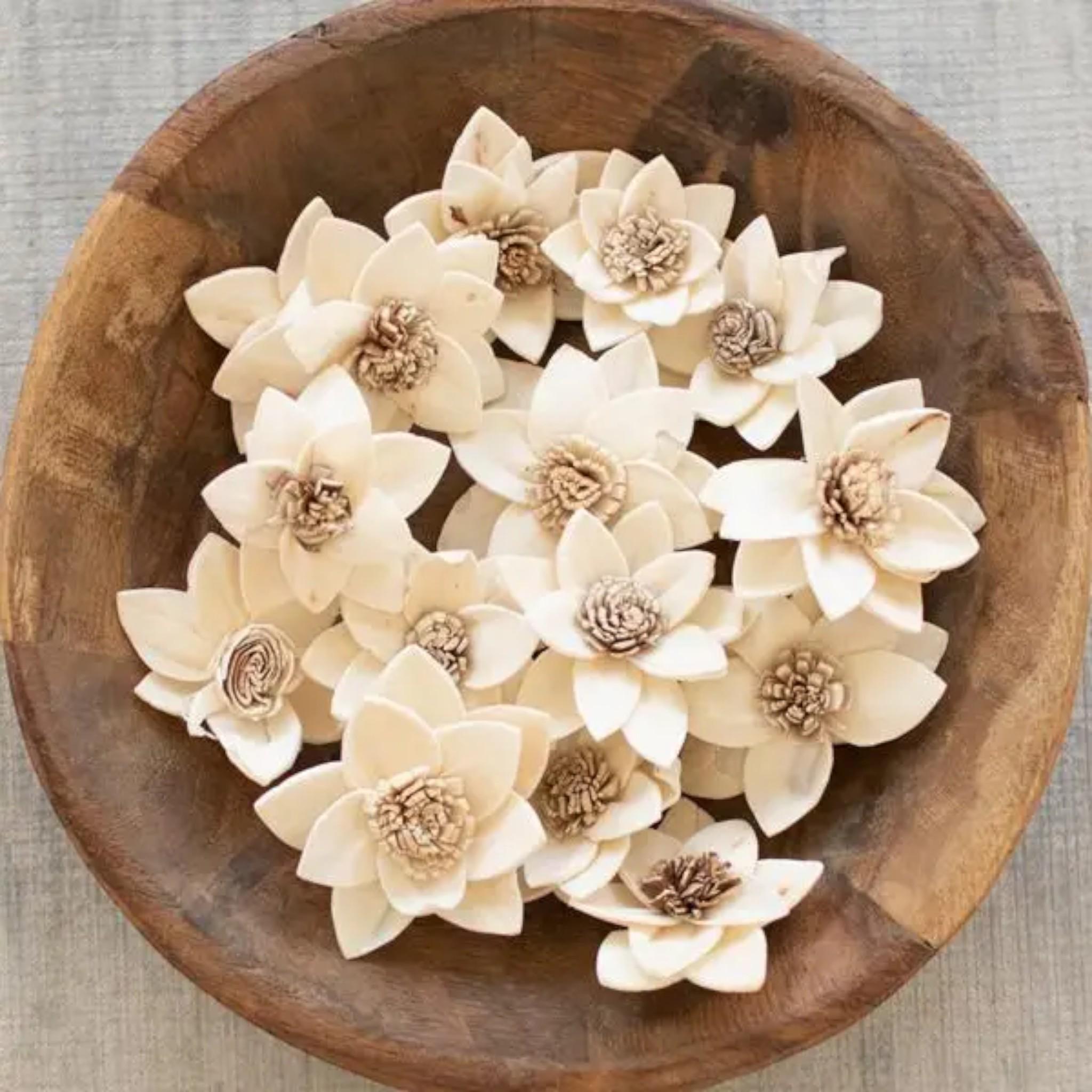 Natural Dried Rukmani Flowers - Bag of 16 (2.5"d), White, Botanical ...