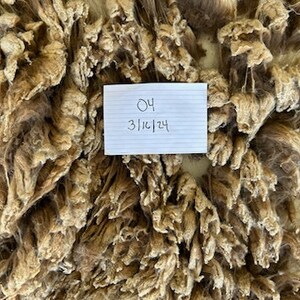 Merino Fleece, Raw Wool, 4 Lbs, 15 Oz Merino Sheep Fleece, Hand ...