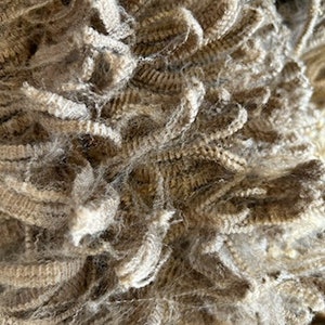 Merino Fleece, Raw Wool, 4 Lbs, 15 Oz Merino Sheep Fleece, Hand ...