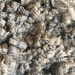 Merino Fleece, Raw Wool, 4 Lbs, 15 Oz Merino Sheep Fleece, Hand ...