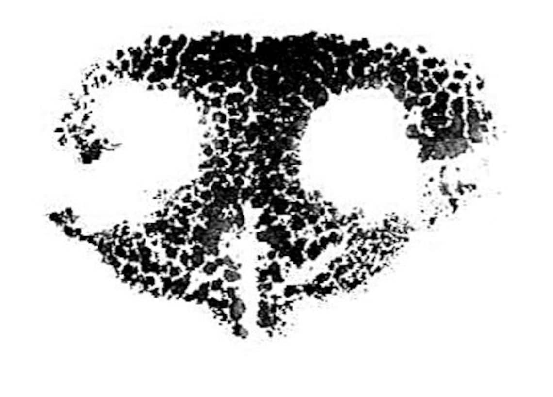 Your Pet's Actual Nose Print Custom Personalized Pendant | Etsy