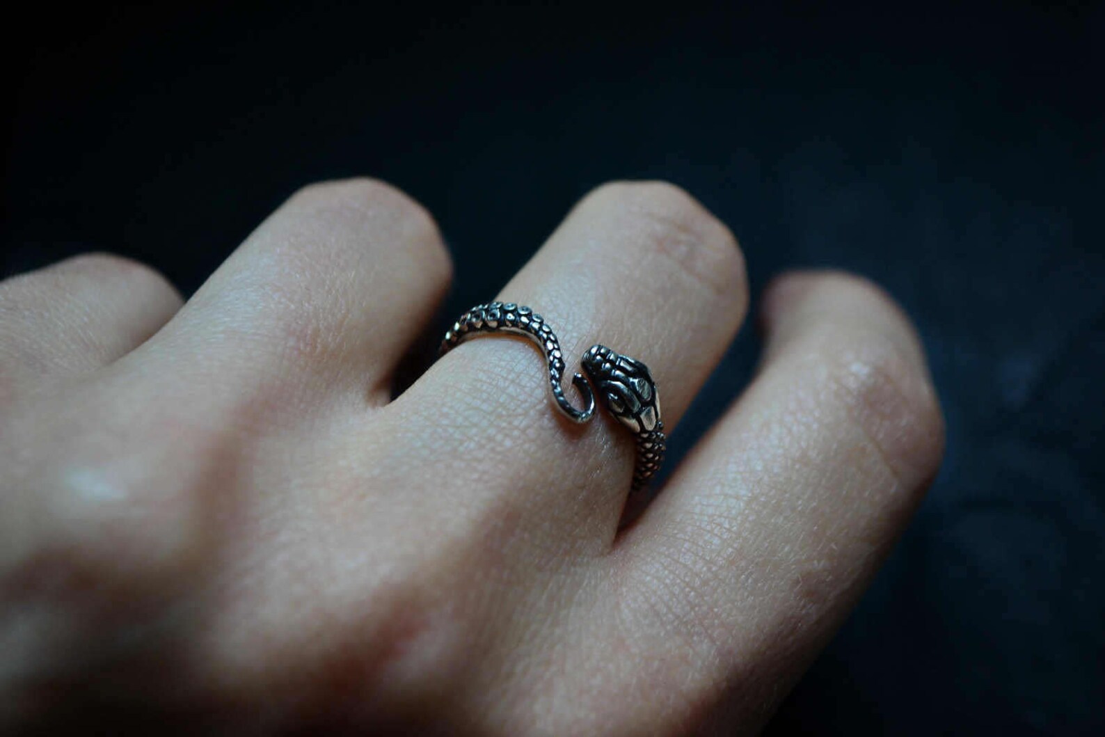 Ouroboros Ring Sterling Silver Snake Ring With Octopus - Etsy UK