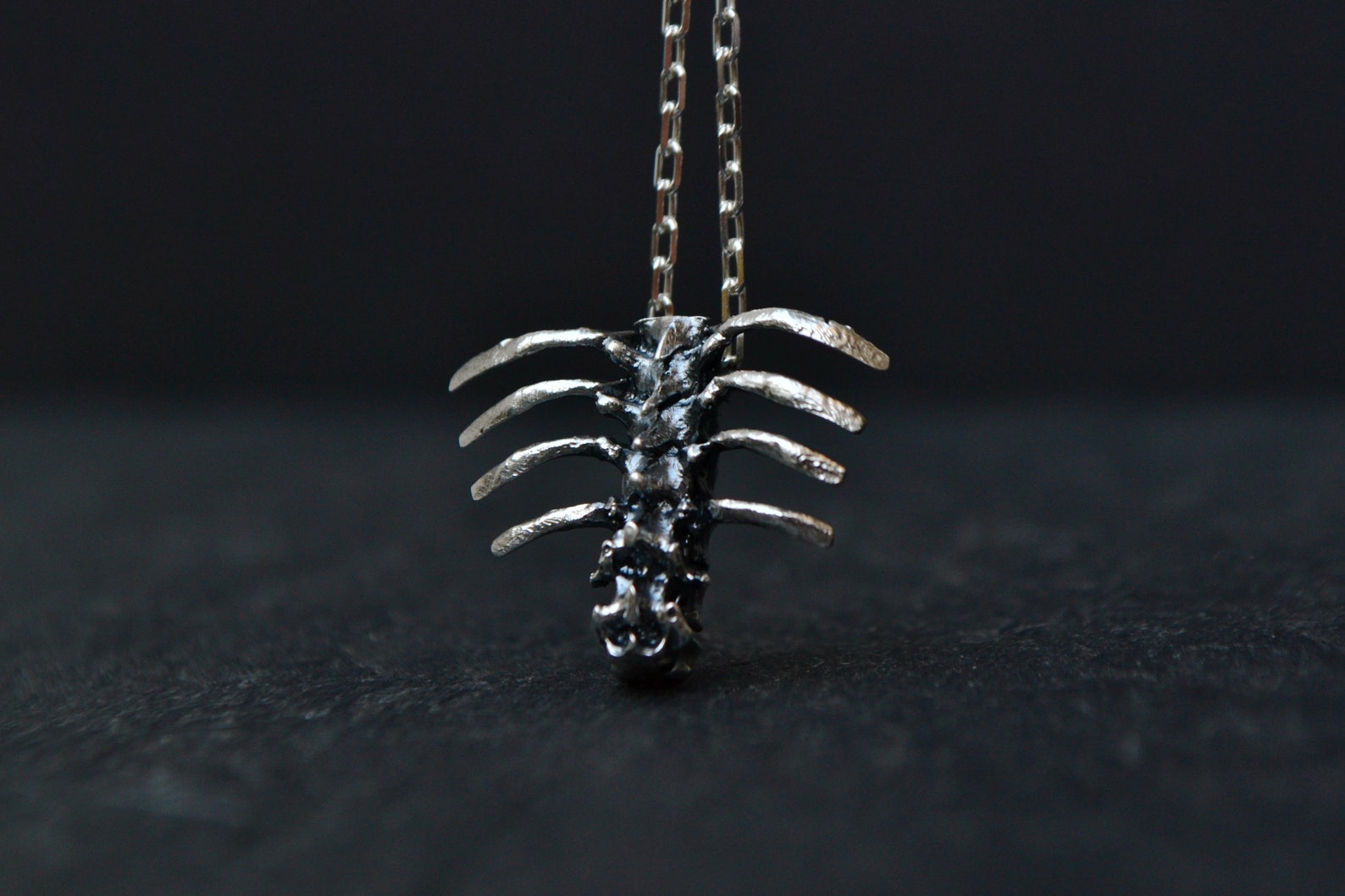 Anatomical Rib Cage Gothic Necklace Sterling Silver Macabre - Etsy