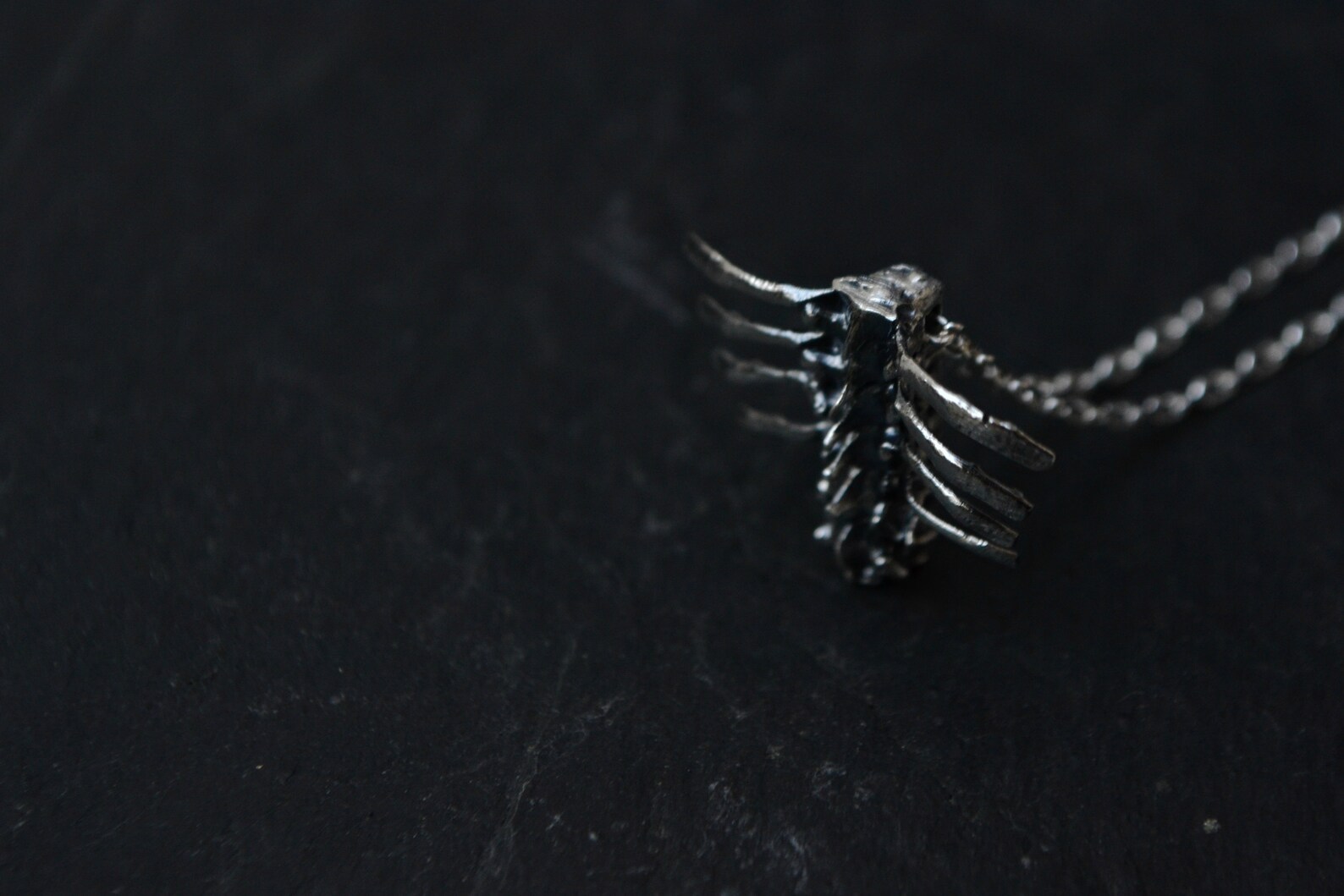 Anatomical Rib Cage Gothic Necklace Sterling Silver Macabre - Etsy