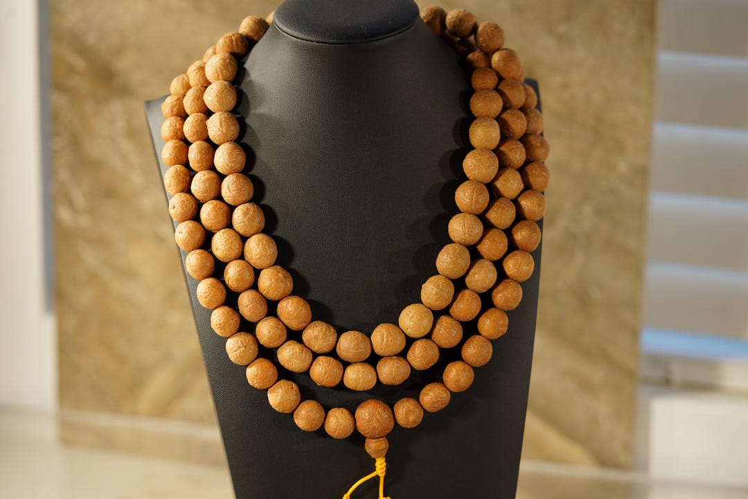 Three Eye Bodhi Mala • 14-16mm • 3 Face Bodhi Mala • Three Mukhi Bodhi ...