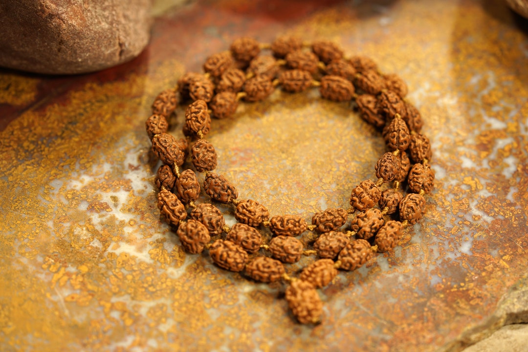 54 Bead Two Mukhi Rudraksha Mala 8mm Two Face Rudraksha Half Mala 2 ...