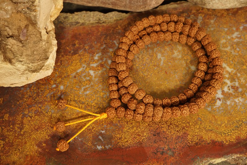 Semi Pathri Rudraksha Indonesian Semi-pathri Rudraksha Mala - Etsy