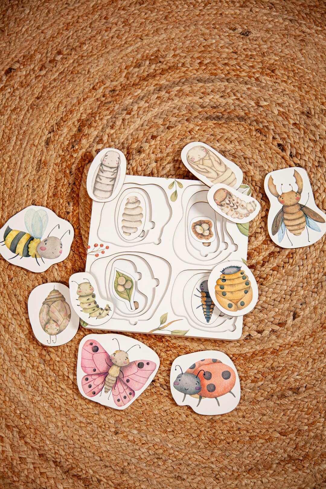 Insects Life Cycle Wooden Puzzle, Montessori Educational Toy for Kids 3 ...