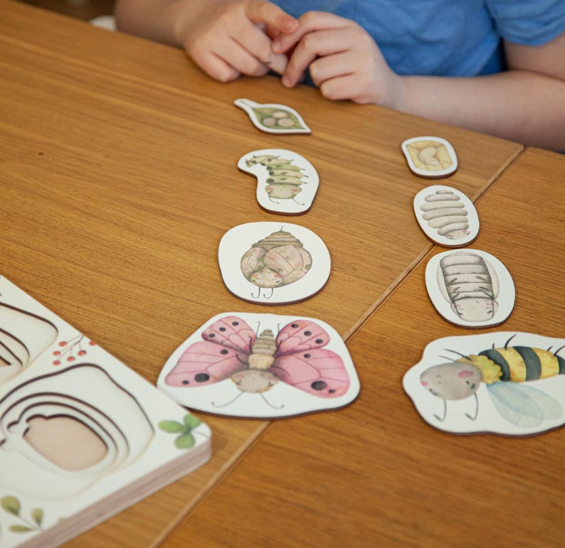 Homeschool Science Activity for Kids, STEM Learning Board, Preschool ...